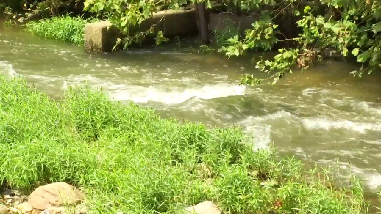 Keeping the Roanoke River clean