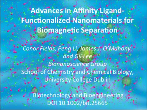B&B: Advances in affinity ligand-functionalized nanomaterials for biomagnetic separation