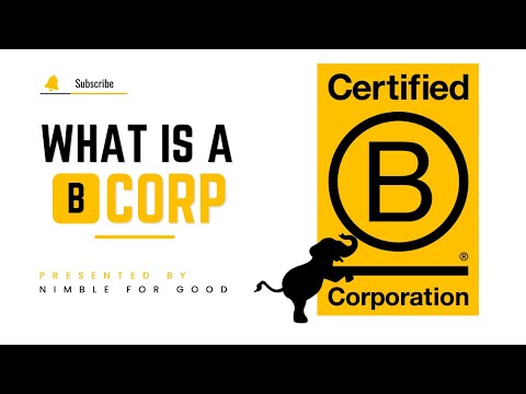 What is a B Corp?