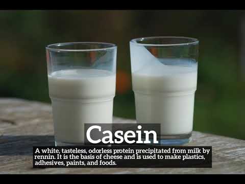 How to Say Casein in English? | What is Casein? | How Does Casein Look?