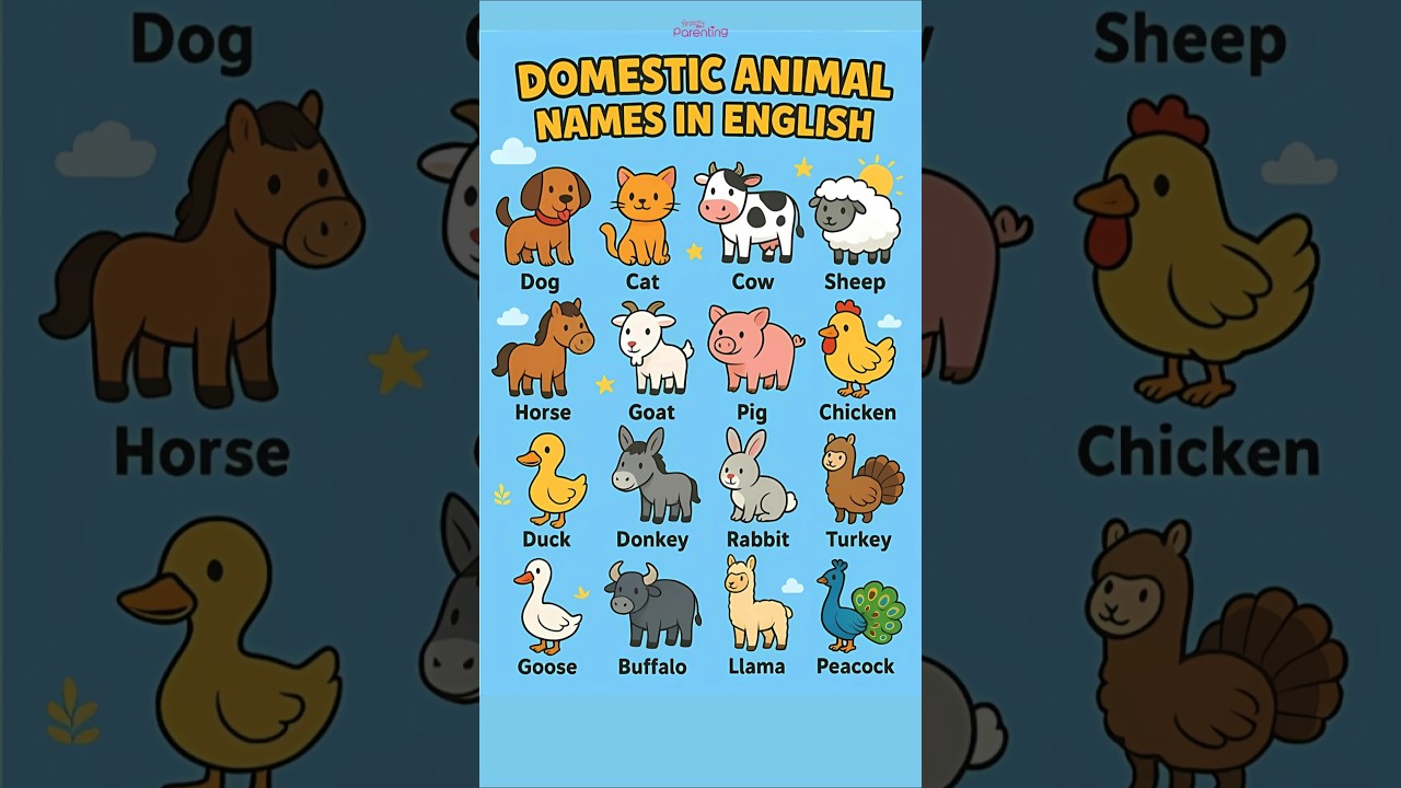 Domestic Animals and Pets | Domestic Animal Names In English #domesticanimals  #kidslearning #animal