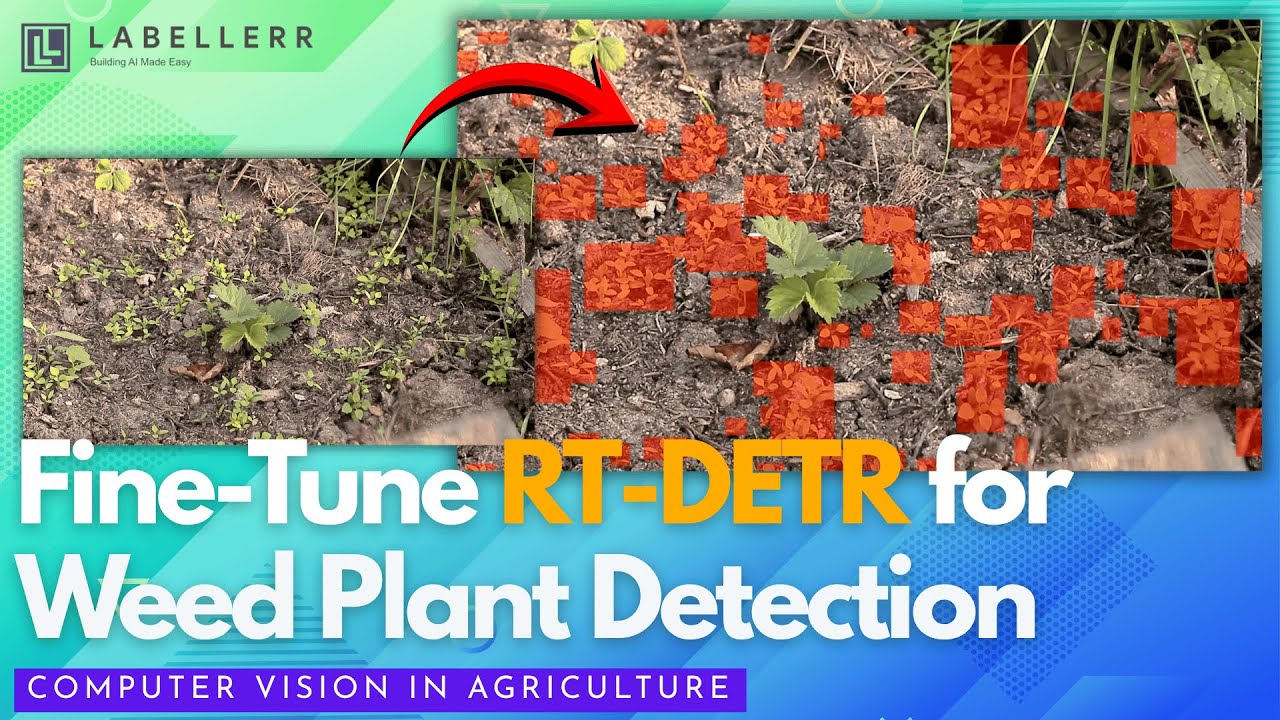 Build AI Model for Smart Weed Detection for Agriculture