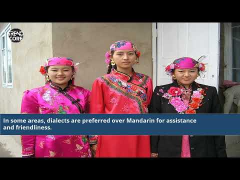 What Language Do Han Chinese Speak