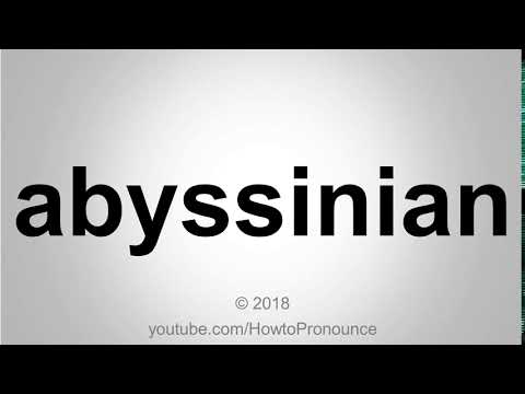 How to Pronounce abyssinian