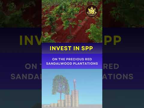 Sai Properties & Projects Ltd | Redsandalwood Farmlands
