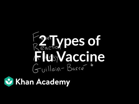 2 Types of Flu Vaccine
