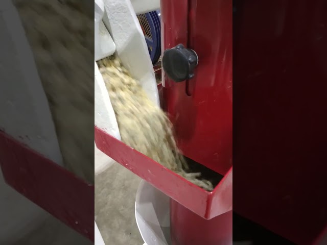 Coffee Dry Processing Machine - 28 Inch Smout Peeler Polisher ...