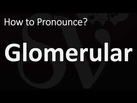 How to Pronounce Glomerular? (CORRECTLY)