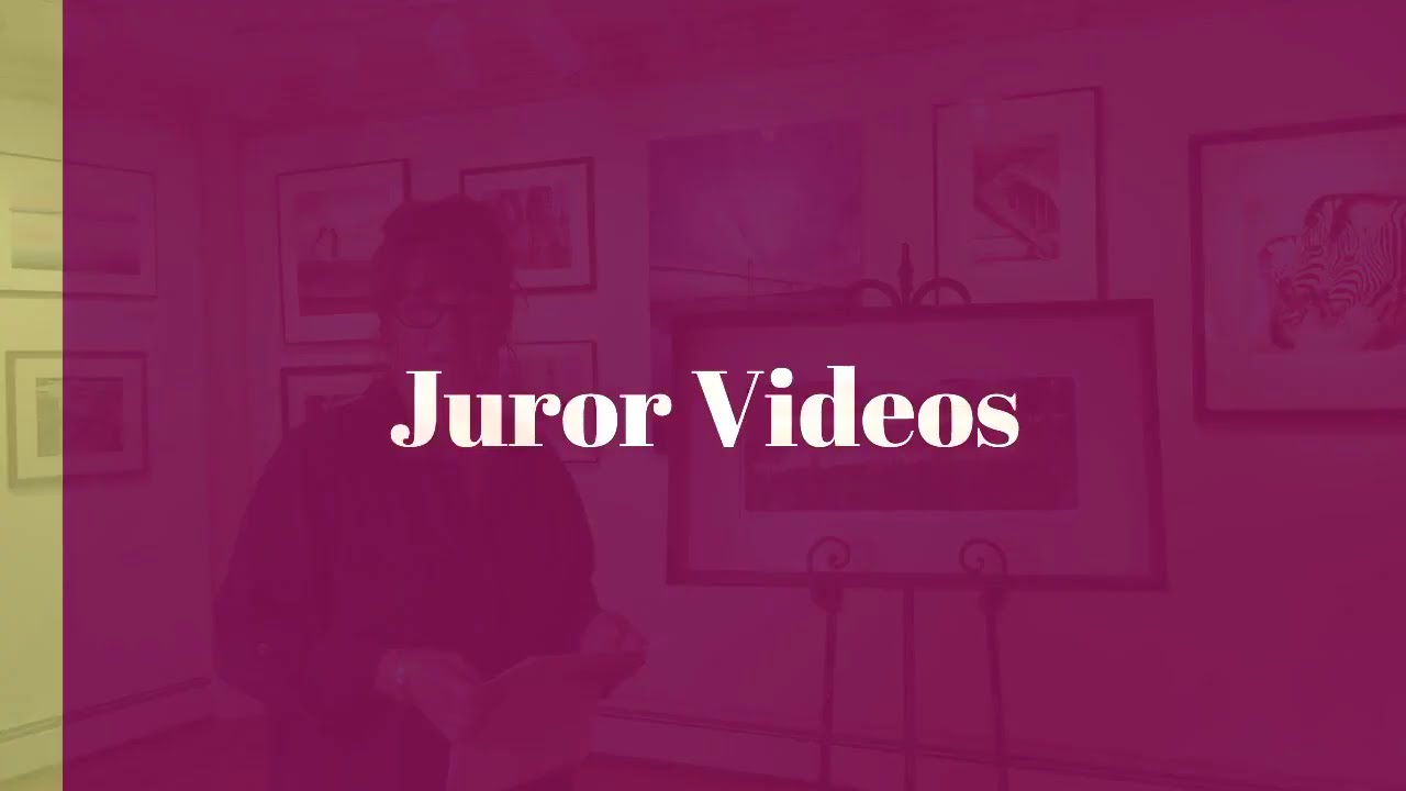 2020 Members Exhibit Awards
