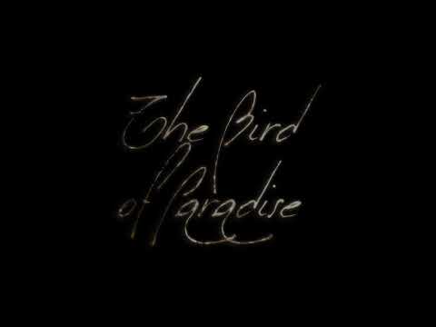 The Bird of Paradise - OFFICIAL TRAILER