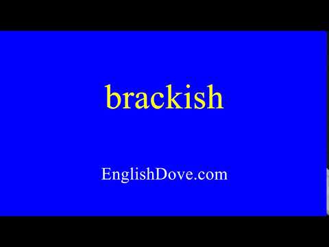 How to pronounce brackish in American English