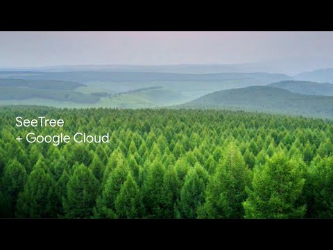 SeeTree - Israeli Startup | Startup Nation Finder