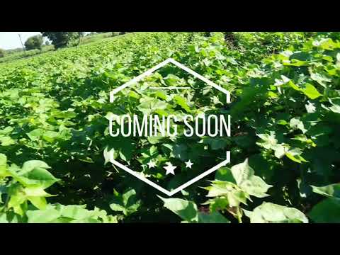 Tarun Sharma vlogs