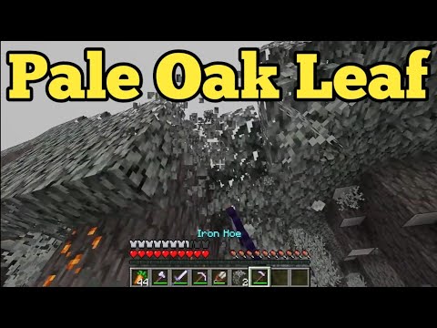How to Get Pale Oak Leaves in Minecraft