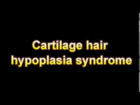 What Is The Definition Of Cartilage hair hypoplasia syndrome Medical Dictionary Free Online