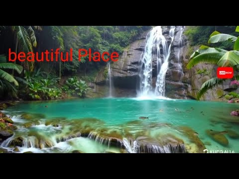 Beautiful video clipp | Natural short video water falls