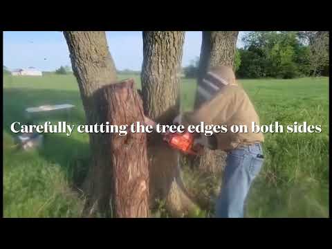 Safe Bee Removal, Training Veterans and First Responders in Bee Extractions and BeeKeeping
