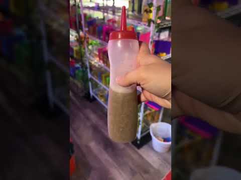 What I feed my Betta Fish #bettatank #bettas #fish #betta #aquarium #fishtank #bettafish