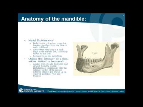 Dental Assisting: The Mandible