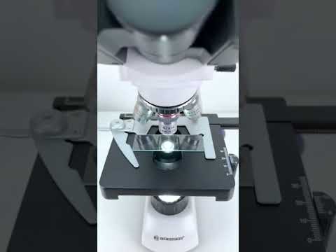 Vodka magnified 400X is really cool!#underthemicroscope