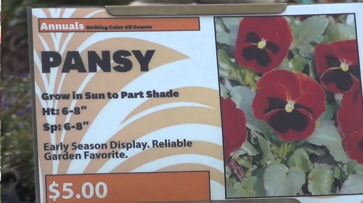 Master Tips from MasterTag