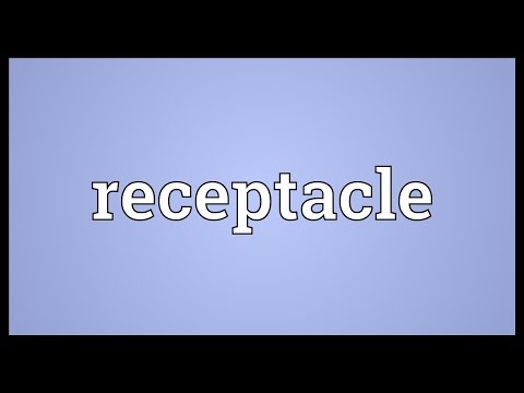 Receptacle Meaning
