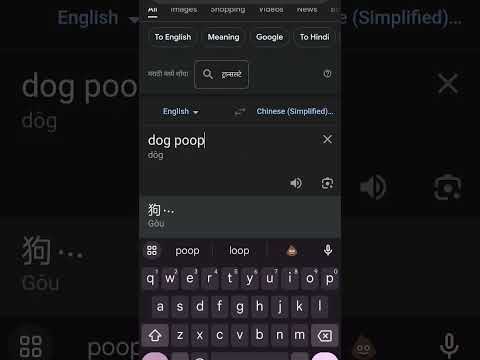 Wtf google translate? #shorts #funny #memes #google