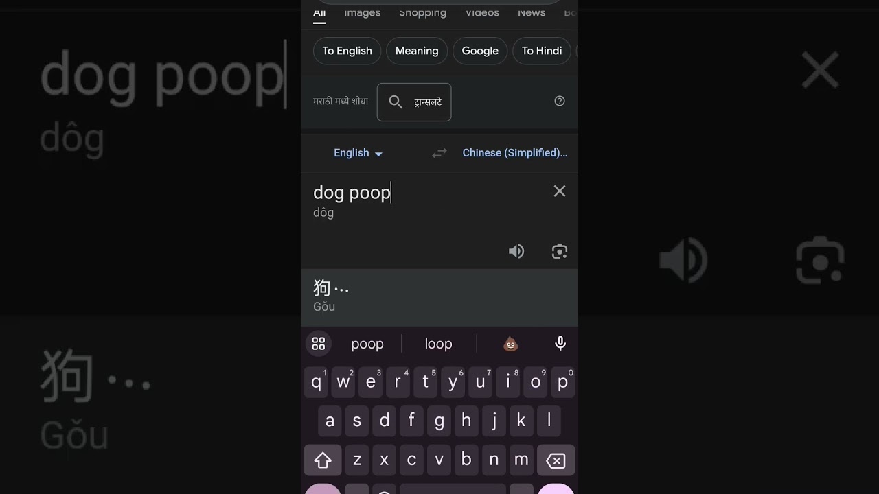 Wtf google translate? #shorts #funny #memes #google
