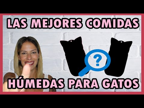 LA MEJOR COMIDA HÚMEDA PARA GATOS 💯 | TOP 5️⃣ mejor COMIDA HÚMEDA para GATOS 😻