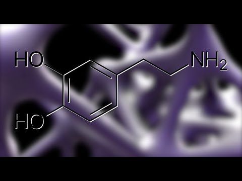 True behavior of ‘pleasure molecule’ will reshape how we treat psychiatric diseases and addiction