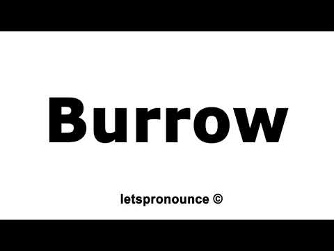 How to Pronounce Burrow
