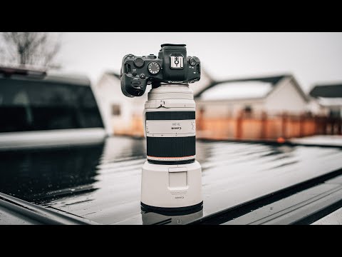 Canon R6: Beginners guide (4082C002)