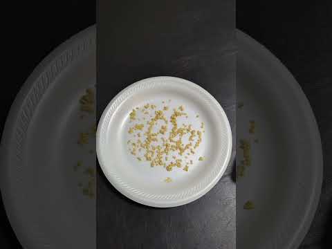 Saving Tomato Seeds: Quick Guide