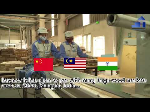 Vietnam's wood industry targets $18bln in 2023 exports