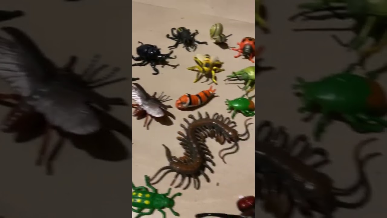 Insect collection. Toys . Spiders, scorpions, beetles . #nature #shorts #toys #insects