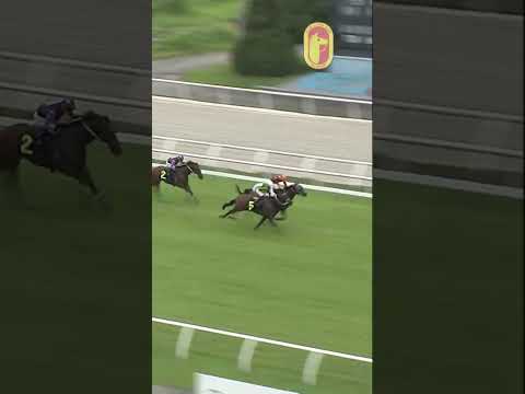 Stop The Water , great win @ Selangor turf club on 5-April-2025 ridden by L De Souza