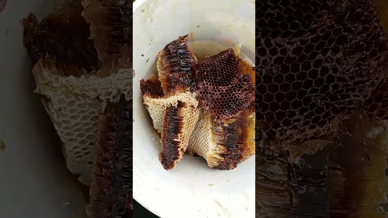 Ang pagkuha Ng pukyutan 