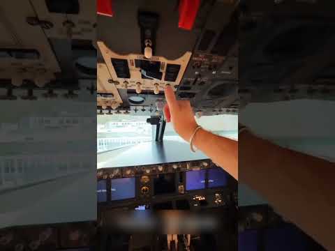 Have kept an airplane inside the house #shorts