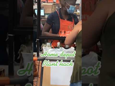 Return plants to Home Depot within a year, dead or alive! #planthacks