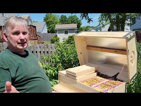 Mini into the bee sanctuary
