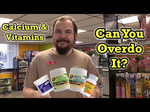 Can You Give a Pet Reptile Too Much Calcium or Vitamins? - An Overview of Supplements