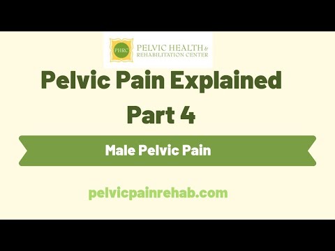 Pelvic Pain Explained Webinar Part 4: Male Pelvic Pain by Elizabeth Akincilar