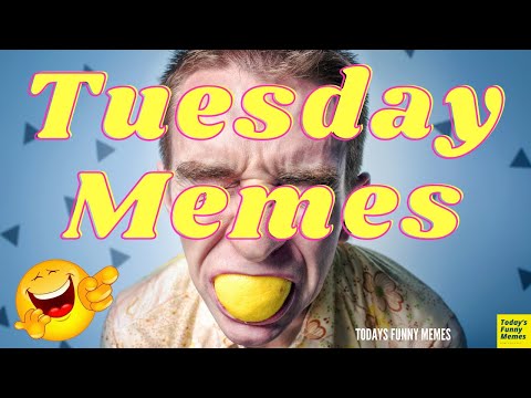 Todays Funny Memes - Tuesday meme (Tuesday work meme)