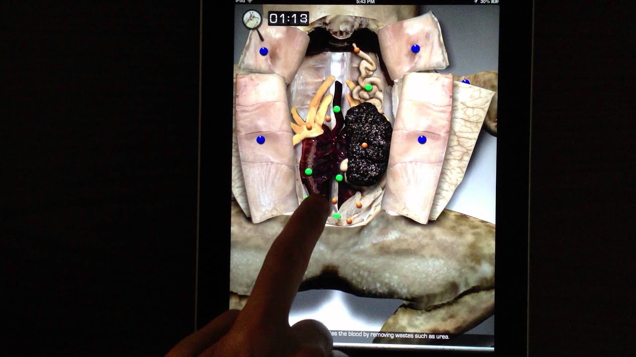 Frog Dissection for iPad