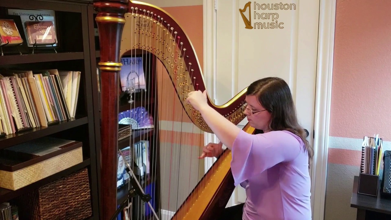 Hire Elizabeth Webb - Harpist in Colorado Springs, CO | GigSalad