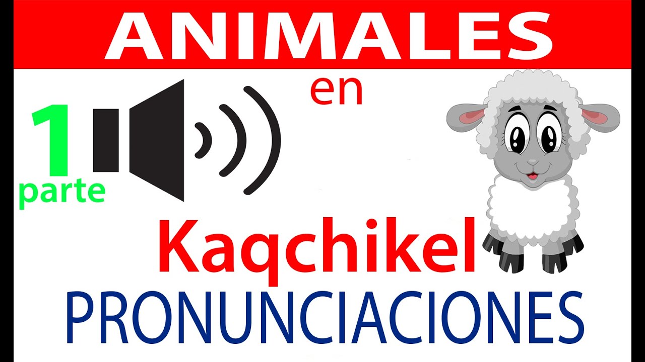 156 ANIMALES en KAQCHIKEL (con PRONUNCIACION) y Español - Idiomas Mayas