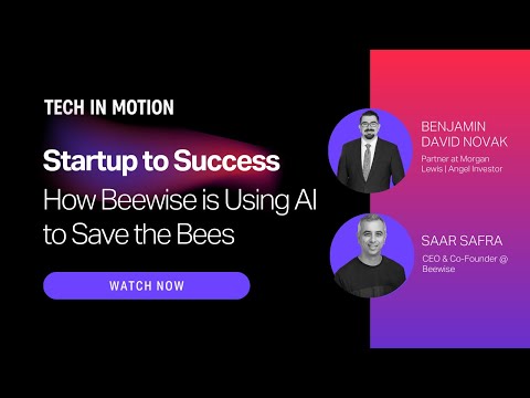 Startup to Success: How Beewise is Using AI to Save the Bees