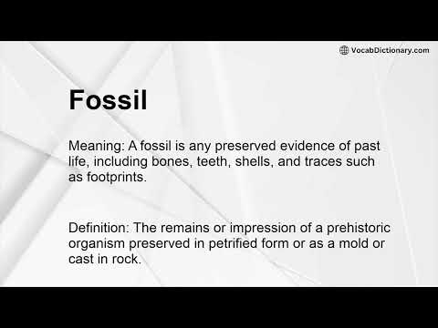 Fossil Meaning
