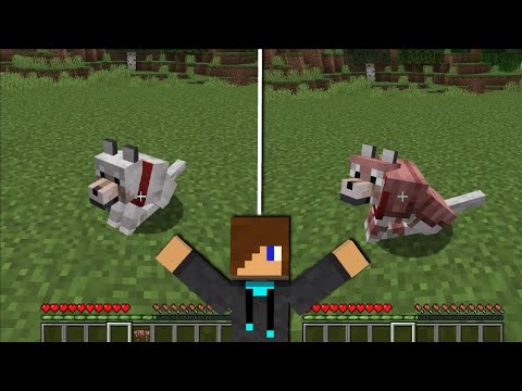 How To Craft Dog Armor❓- Version 1.21
