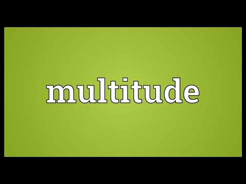 Multitude Meaning